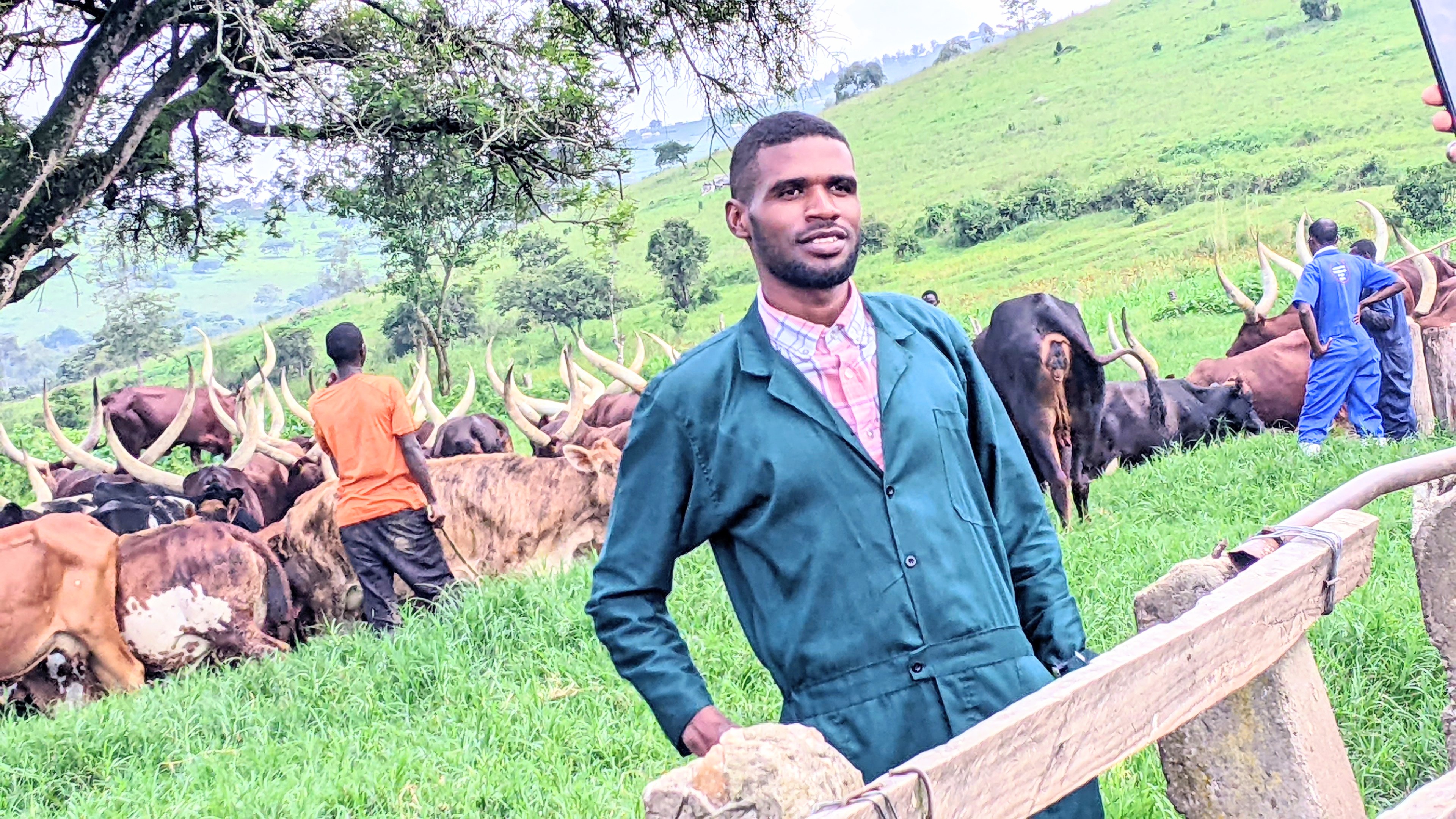 NTDM Animal Hospital - Track, Consult, and Care